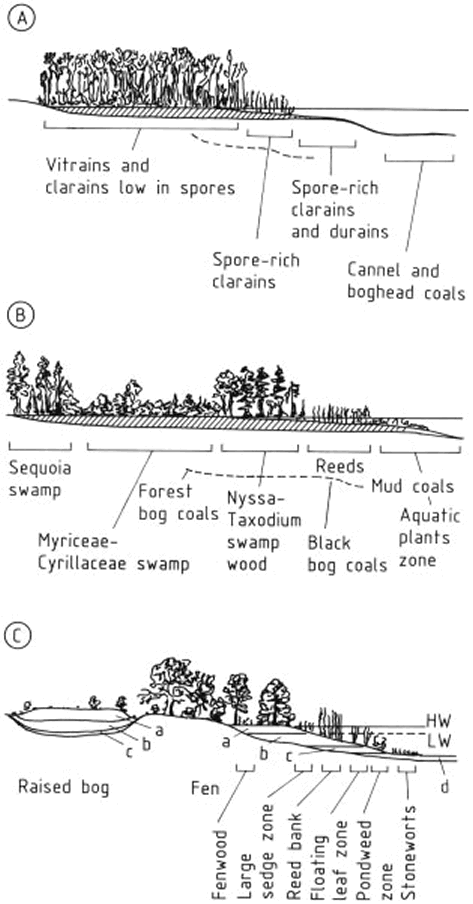 Turba | Textos Científicos