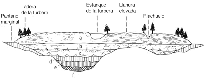 Composición y Propiedades de la Turba | Textos Científicos